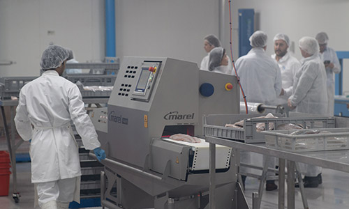 New processing facility opens in Darwin | Department of Agriculture and ...