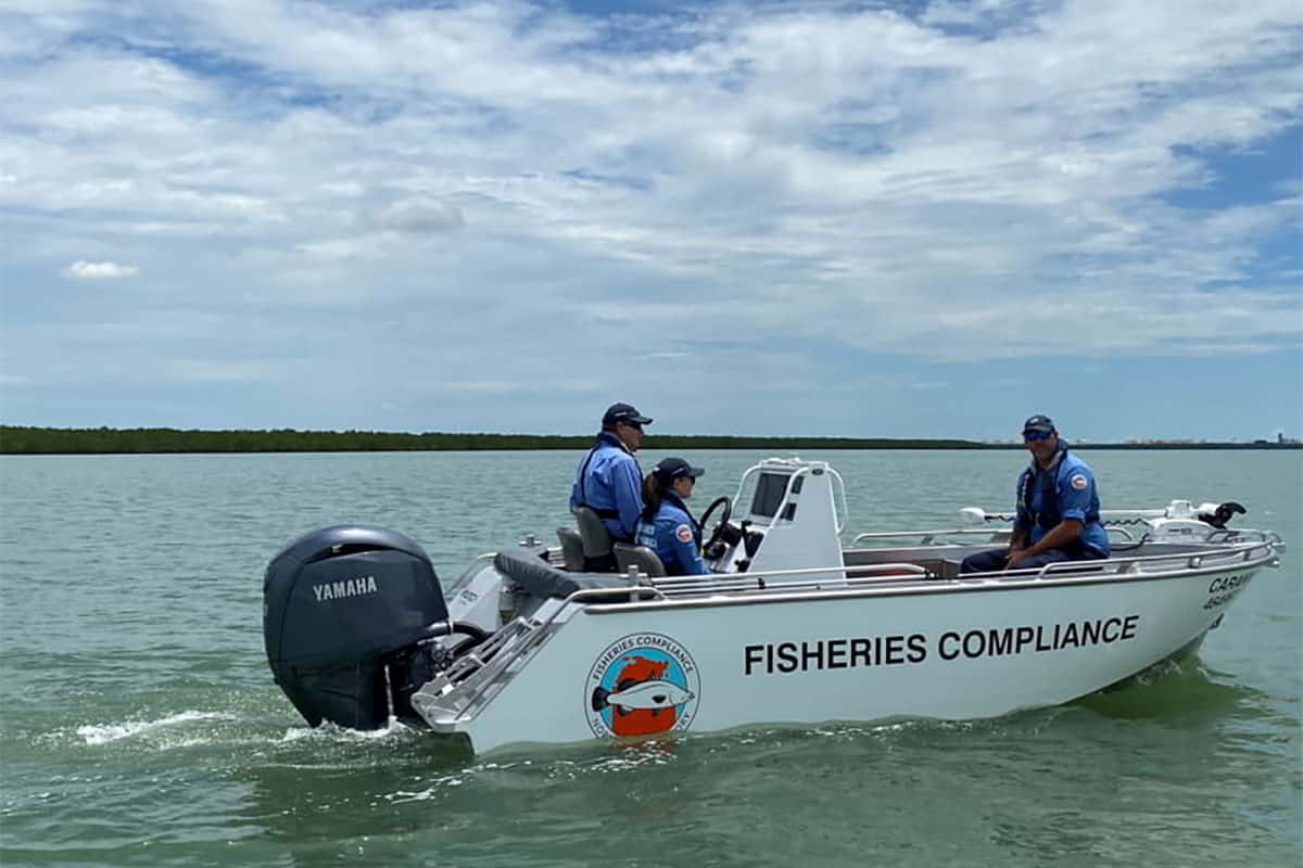 Illegal fishing in Charles Point reef fish protection area | Department ...
